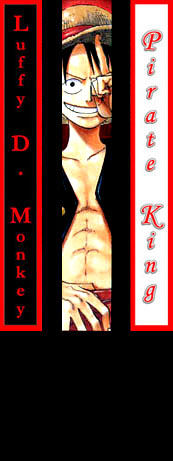Captain: Luffy D. Monkey*